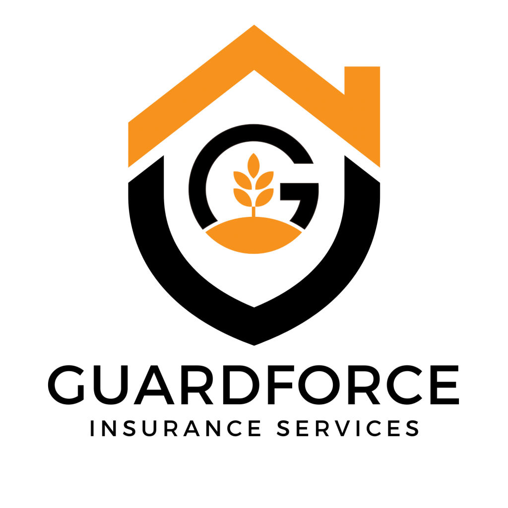 Home - GuardForce ins